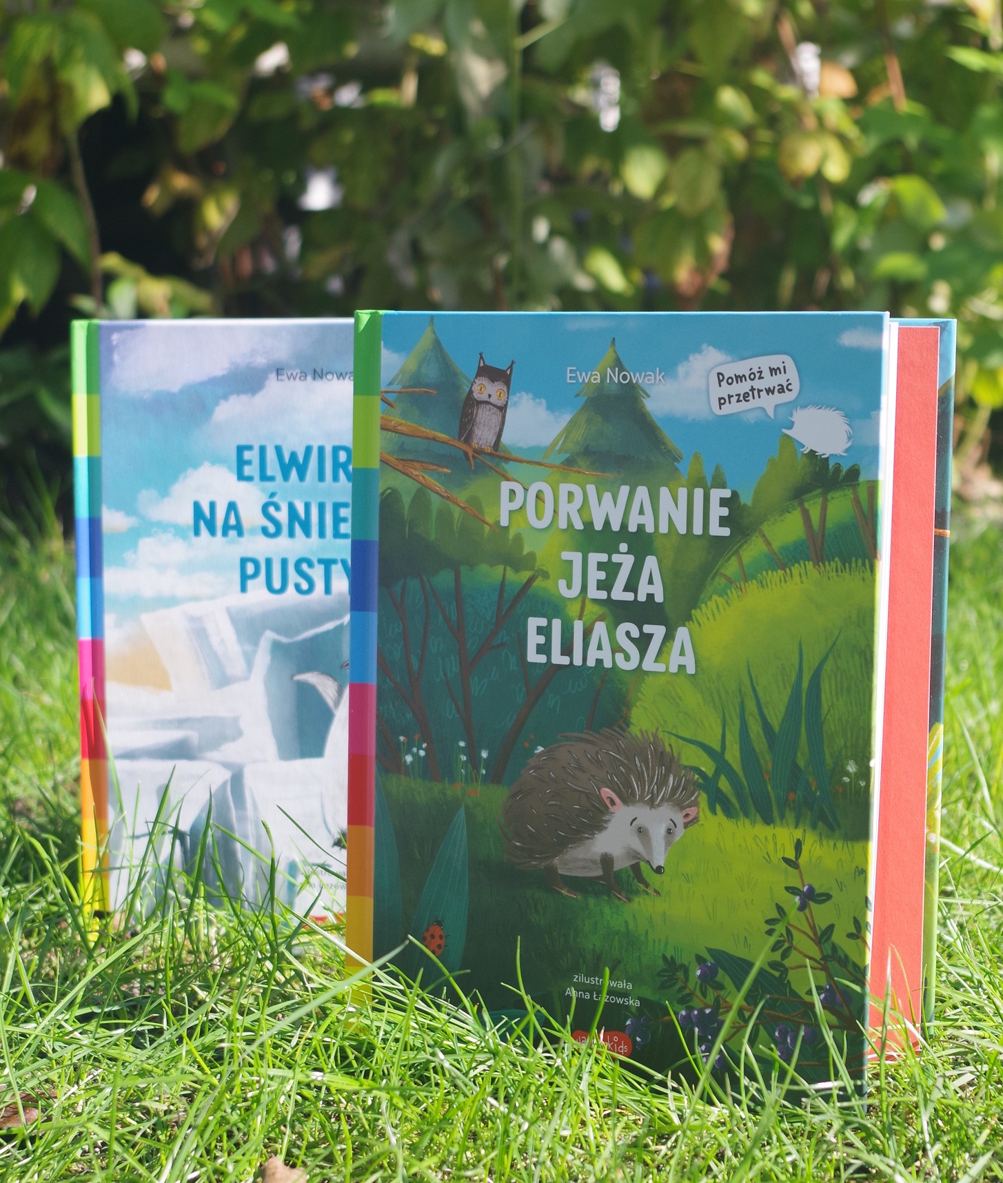 Elwirka na śnieżnej pustyni // Porwanie jeża Eliasza – Ewa Nowak ...